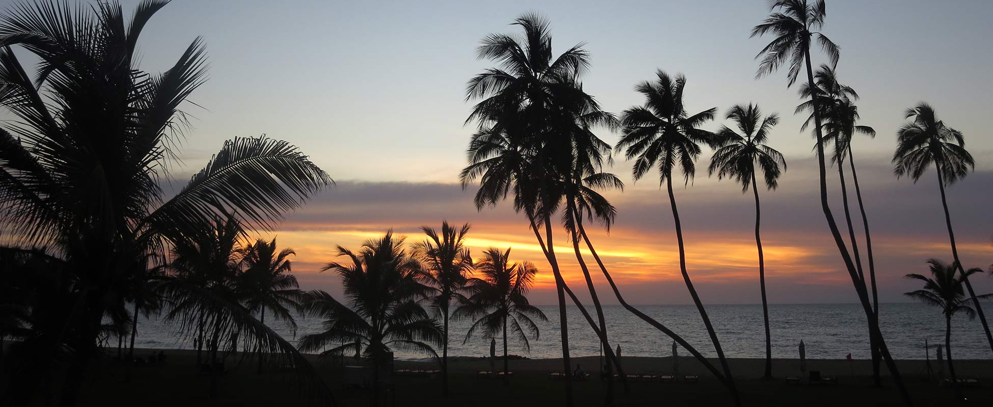 Chilaw - JungleKey.in Image